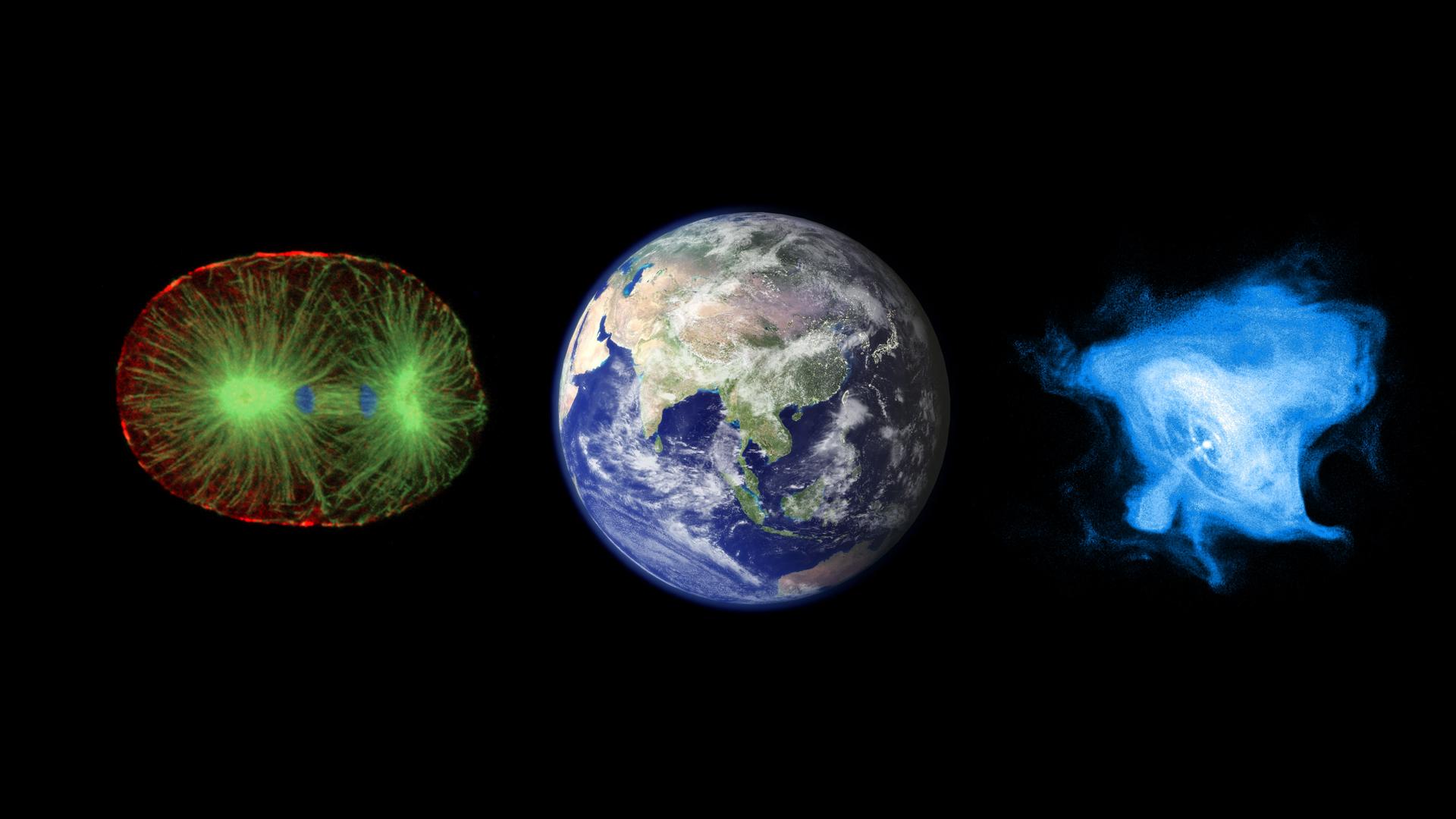 Beautiful Minds | TV Time