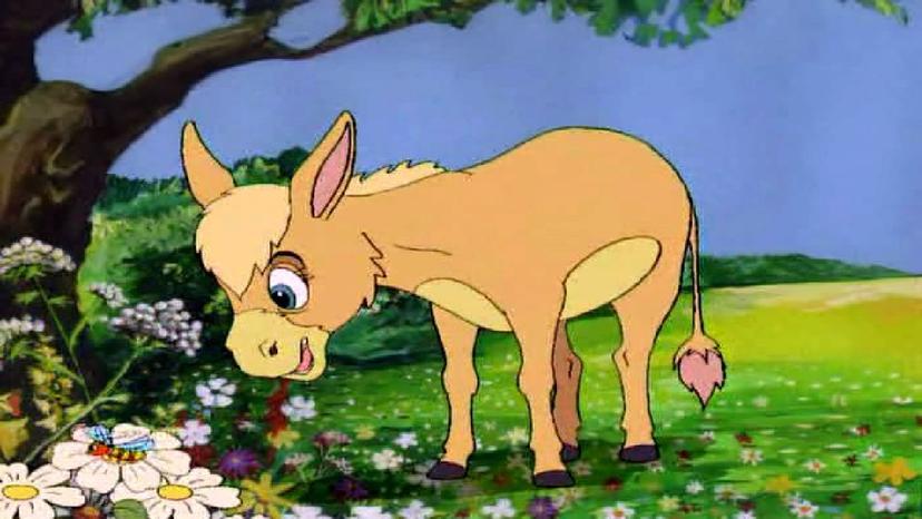 Dawdle the Donkey | TV Time