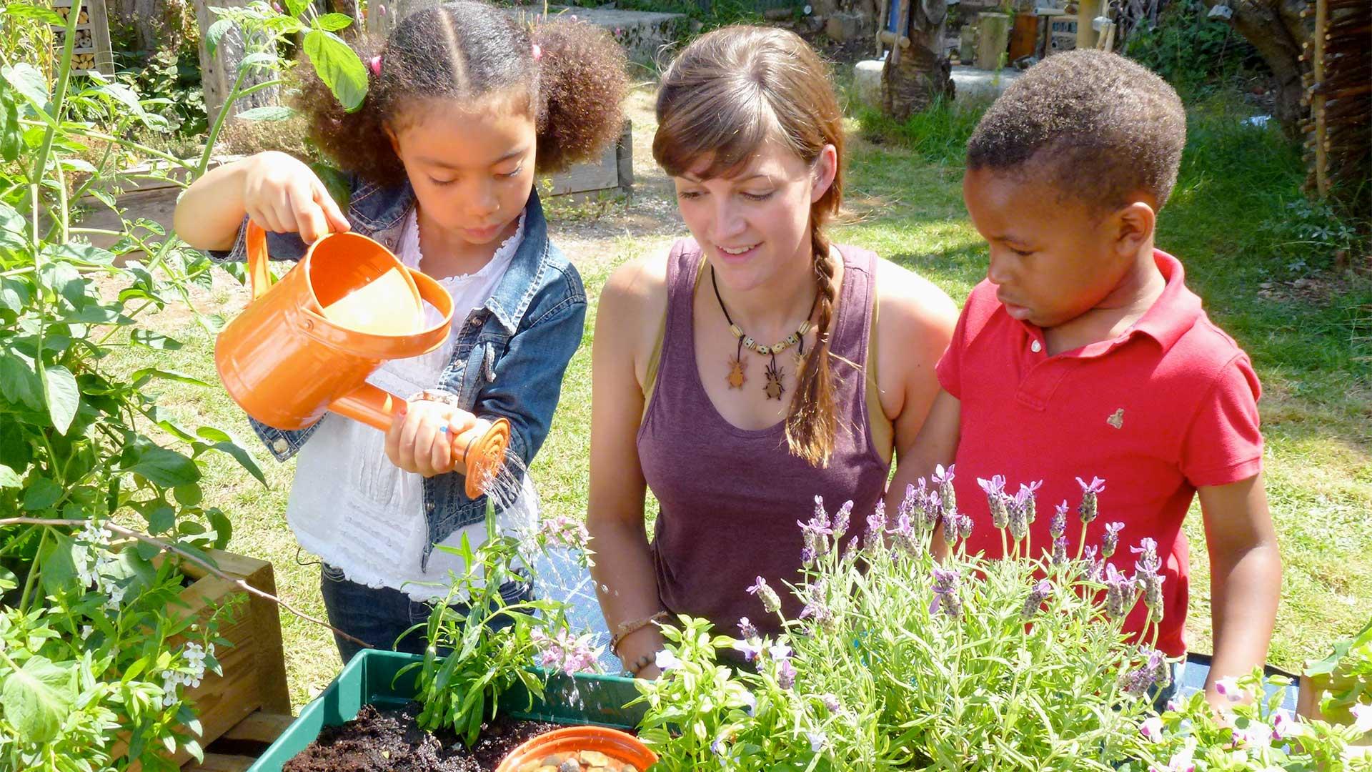 Minibeast Adventure with Jess | TV Time