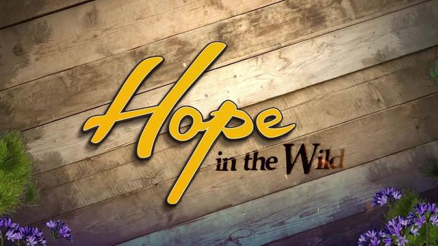 Hope in the Wild | TV Time