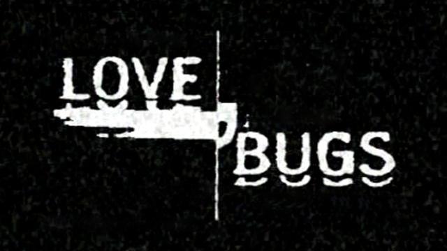 Love Bugs | TV Time
