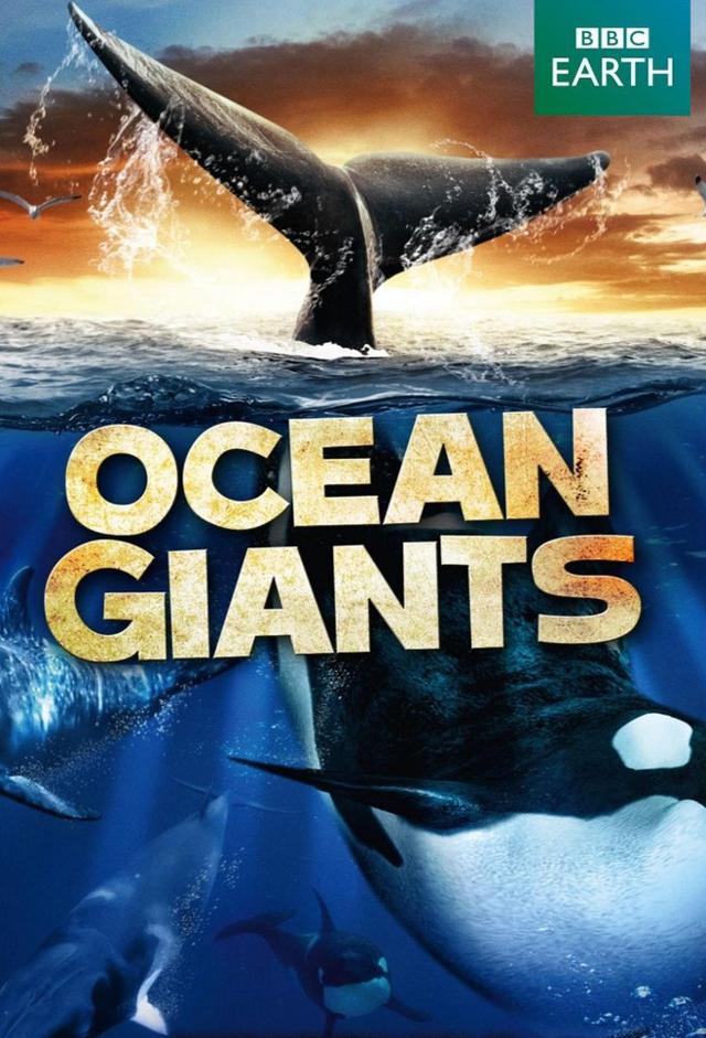 Ocean Giants | TV Time
