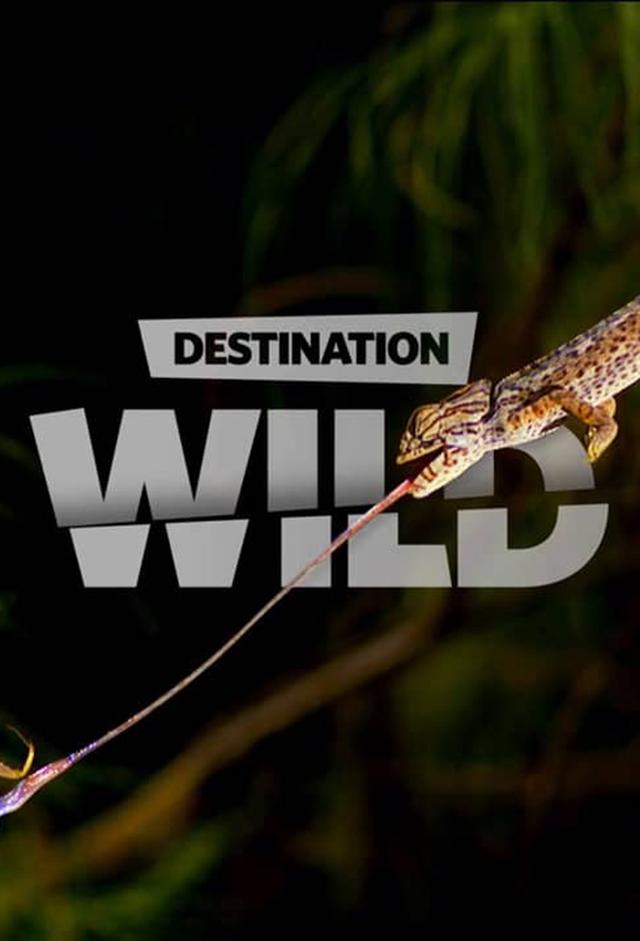Destination WILD | TV Time
