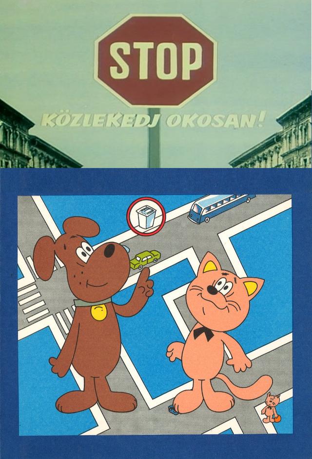 STOP! Közlekedj okosan! | TV Time