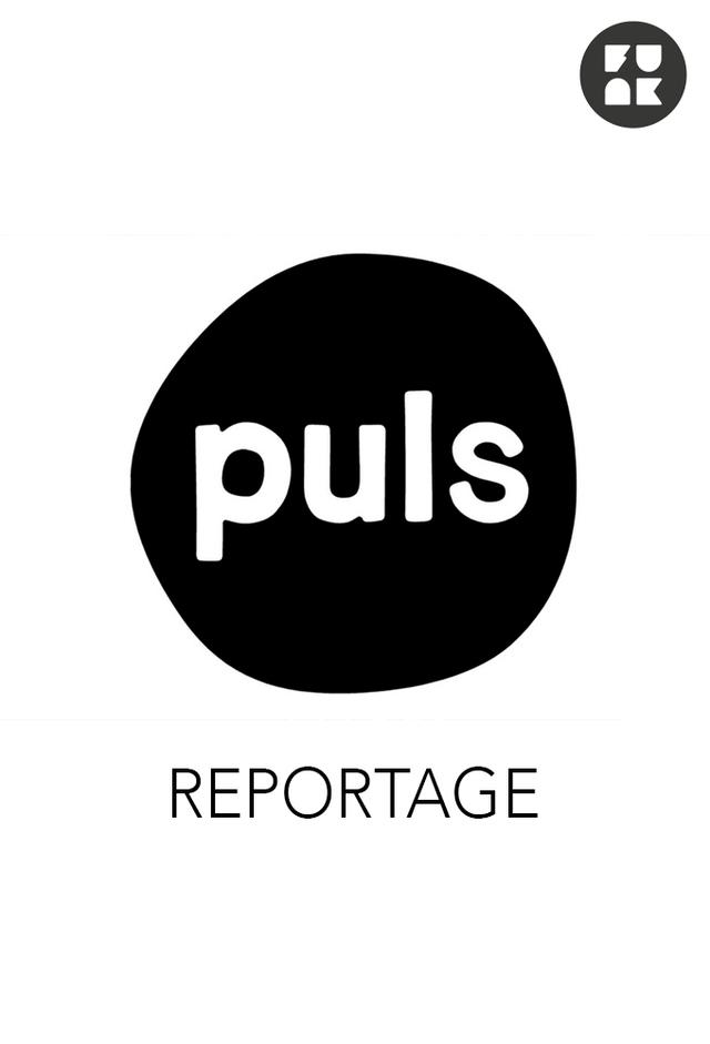 Puls Reportage | TV Time