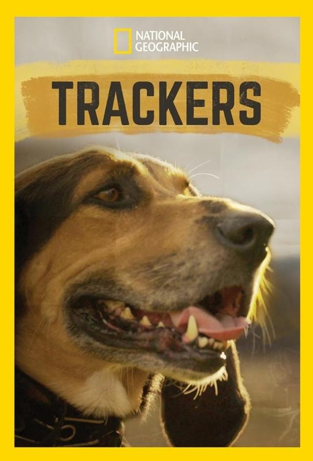 Trackers | TV Time