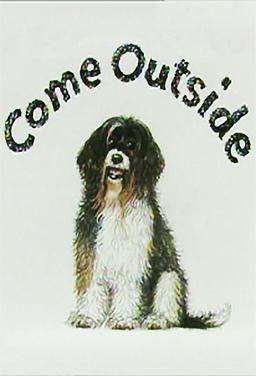 Come Outside | TV Time