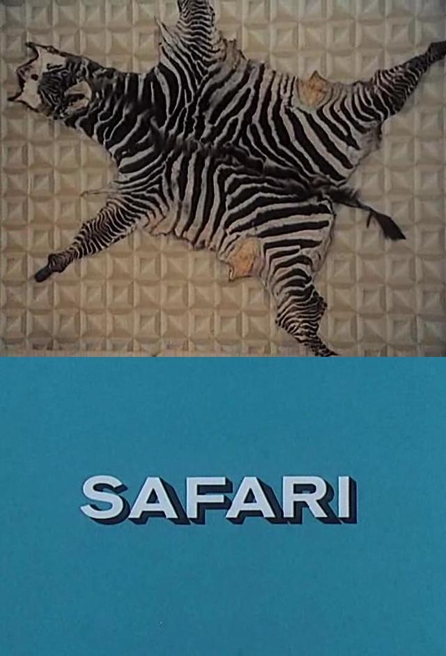 Safari | TV Time