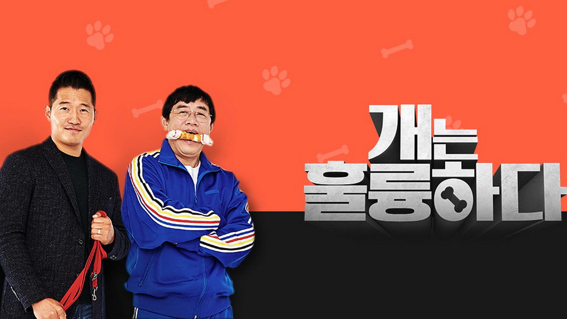 Dogs are Incredible | TV Time