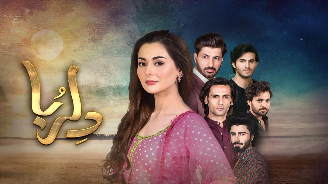 Dil Ruba | TV Time