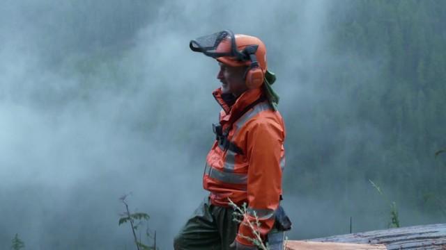 Timber Titans | TV Time