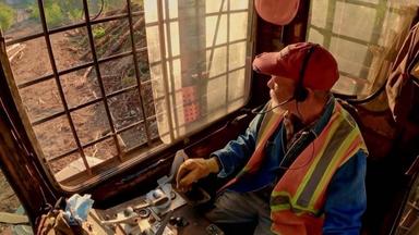 Timber Titans | TV Time