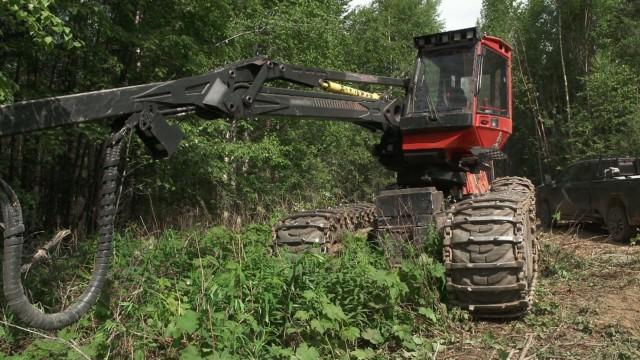 Timber Titans | TV Time