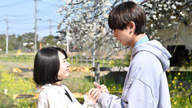 Dear Sa-chan | TV Time