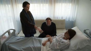 Flowers Over the Inferno | TV Time