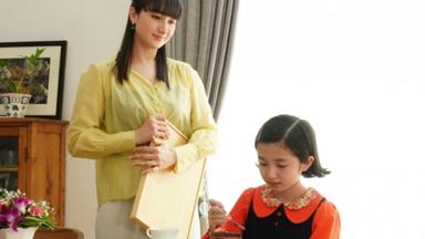 Dr. Chocolate | TV Time