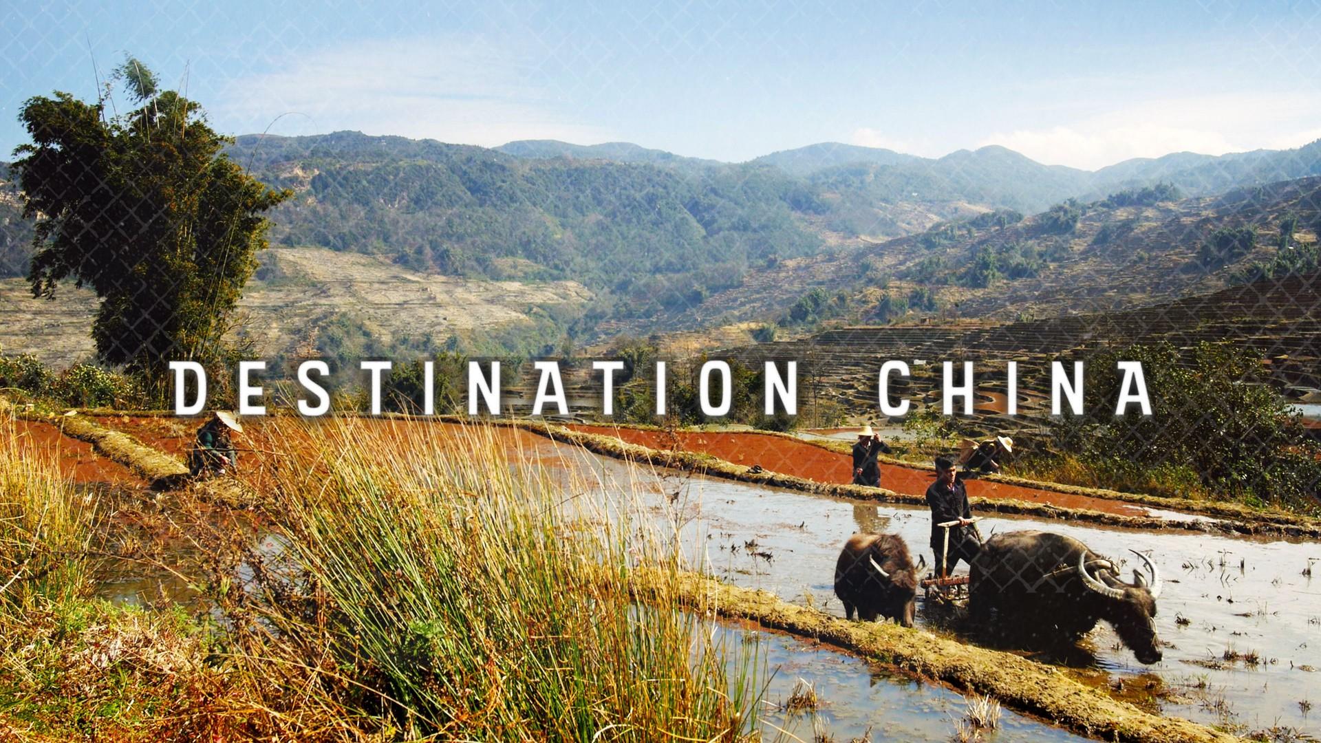Destination China | TV Time
