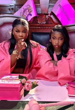 The Pink Courtroom | TV Time