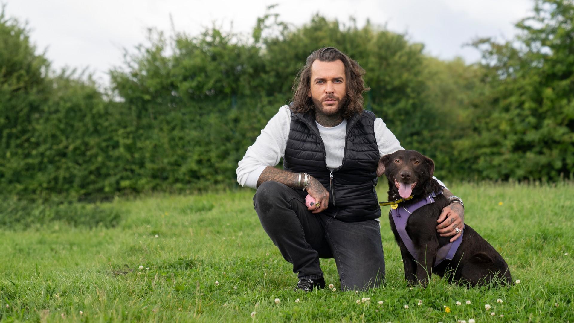 Pete Wicks: For Dogs' Sake | TV Time