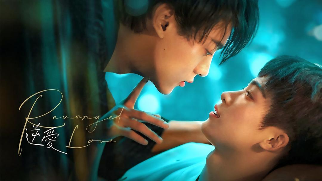 Revenged Love | TV Time